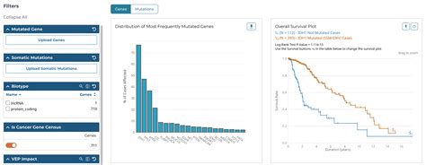 Mutations Graph How To Implement A Graphql Mutation Postman Blog