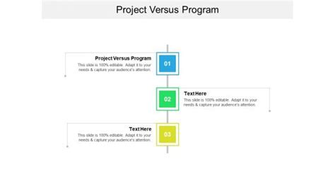 Project Versus Program Ppt Powerpoint Presentation Styles Rules Cpb
