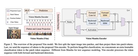 Researchers From China Propose Vision Mamba Vim A New Generic Vision Backbone With
