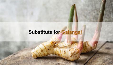13 Galangal Rootpastepowder Substitutes For Your Recipe