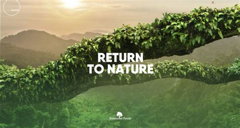 10 Ways To Simplify Your Design Design Shack