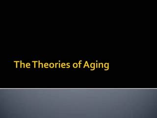 PPT Theories Of Aging PowerPoint Presentation Free Download ID