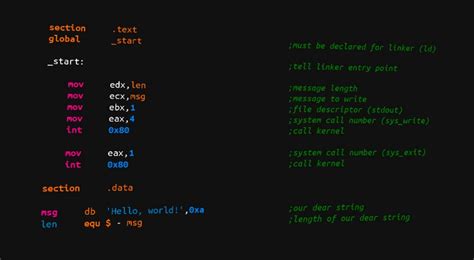 Display Ascii Decimal Assembly Programming Solution Handhika Yanuar