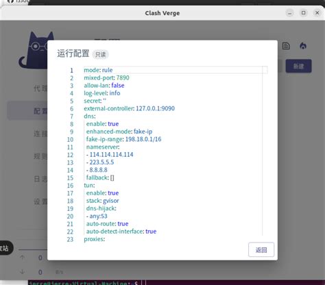 Ubuntu Clash内核提权后开启tun，任何网站都无法访问 · Issue 478 · Zzzgydiclash Verge
