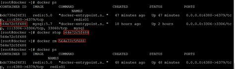 【docker】docker数据卷的使用docker 启动mysql 指定卷名称 Csdn博客