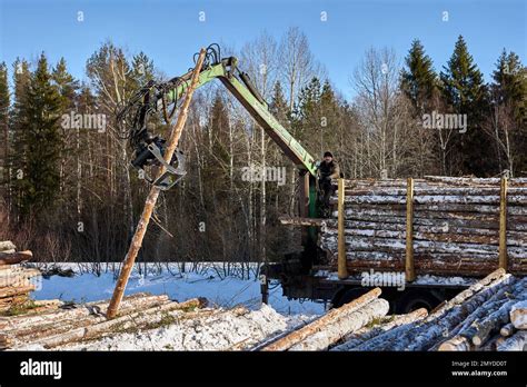 Self Loader Attachments For Loading Logs Truck Shipment Timber In Winter Forest Stock Photo Alamy