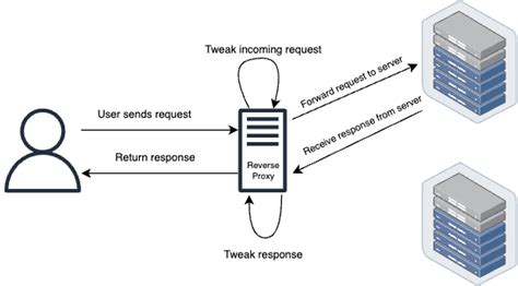 Beginner S Guide To Reverse Proxies Mastering The Digital Middleman SaaS Custom Domains Blog