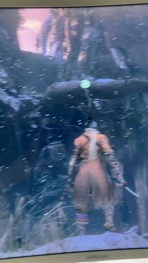 Can Some1 Help Me Rsekiro