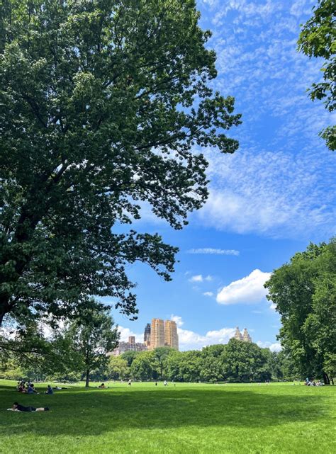 2일차 센트럴파크 피크닉 And 갤러거 스테이크하우스 런치코스 자연사박물관 네이버 블로그