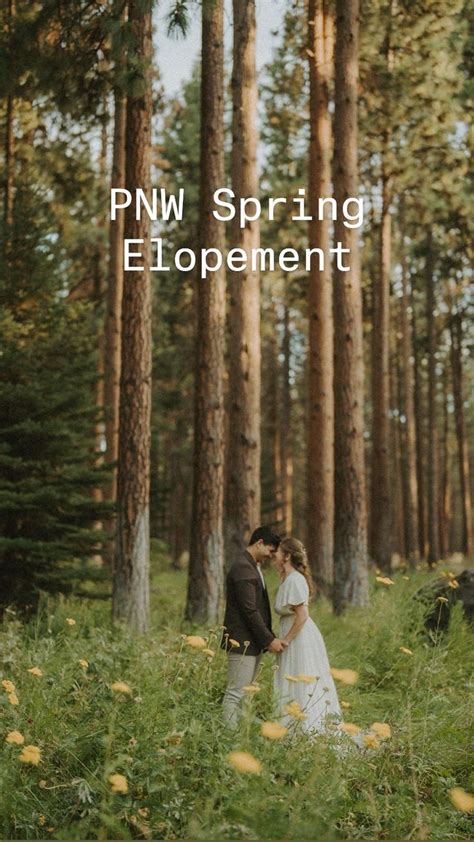 Pnw Spring Elopement Dawn Photo Forest Engagement Photos Forest