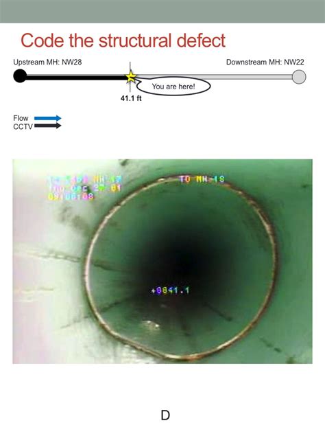 Pacp Sample Quiz Cleaner