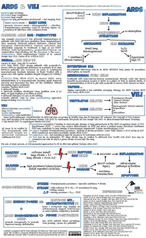 Velia Marta Antonini On Linkedin Ards Vili Icu Foamcc Foamed