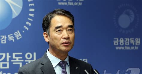 금감원 금융자본 산업지배 측면에서 Pef 역할·책임 논의해야종합