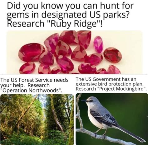 Ruby Ridge R Historymemes