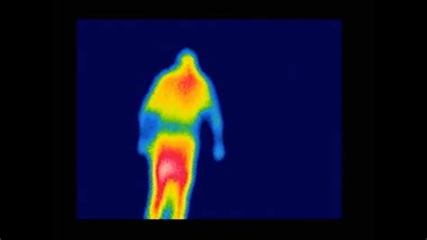 Human Detection In Ir Images Object Detection Dataset V1 New By Karky