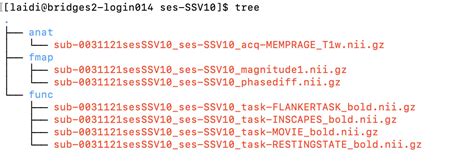 Error In Fmriprep Processing Operands Could Not Be Broadcast Together