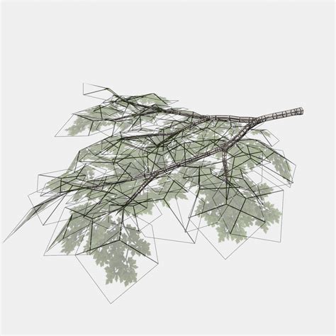 3d Model Rigged Tree Branch Types Turbosquid 1397320