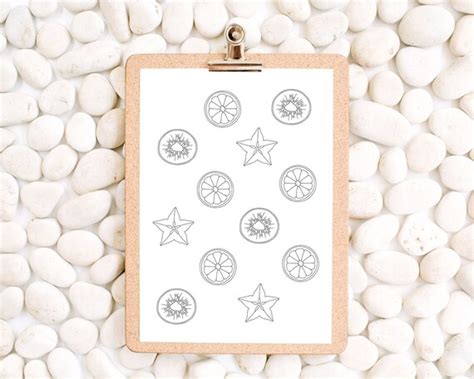 Fruit Slices Coloring Page For Adults Food Coloring Design Etsy