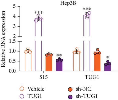 Tug1 Is Elevated In Hcc Cells And Controls The Siglec 15 Expression