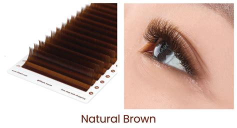 Brown Lash Extension What Shade Are You