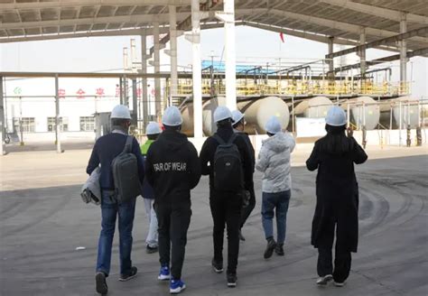 Cellulose Fiber Manufacturing Process Explained From Raw Material To