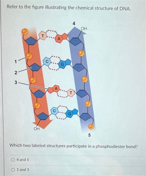 Solved Refer To The Figure Illustrating The Chemical Chegg Com