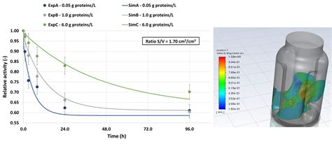 Improving The Understanding Of Enzyme Deactivation During