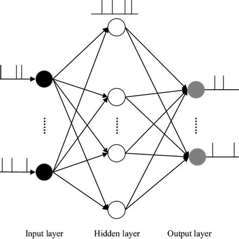 structure of a multilayer feedforward spiking neural network download