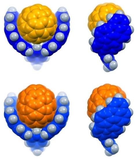 Calculated Structures Of The Inclusion Complexes Between The Catcher Download Scientific