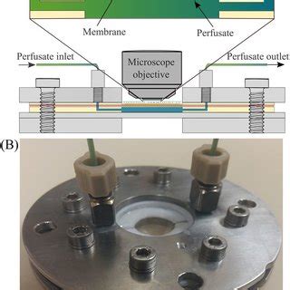 Dissolution Of Drug Particle Showing The Unstirred Diffusion Layer Download Scientific Diagram