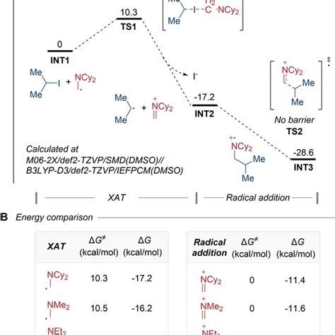 Preliminary Dft Studies Download Scientific Diagram