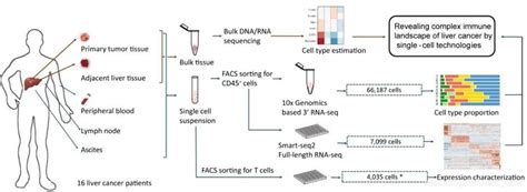 单细胞转录组：smart Seq 2还是10x Genomics Chromium Csdn博客