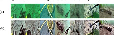 Figure 11 From An Improved Yolov5 Based Underwater Object Detection Framework Semantic Scholar