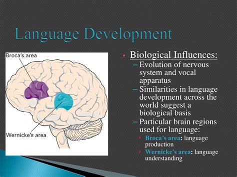 Ppt Infancy Powerpoint Presentation Free Download Id1882731