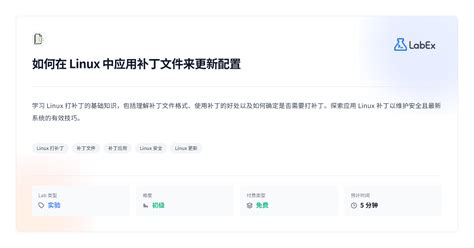 如何在 Linux 中应用补丁文件来更新配置 Labex