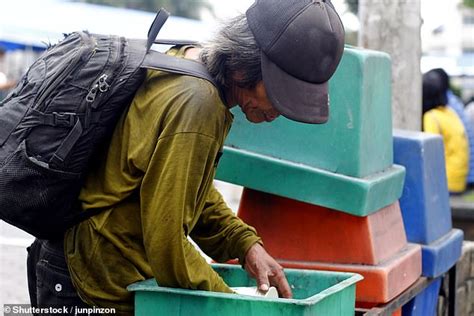 NSW Central Coast Resident Divides Opinion Over Recycling Bin Scavengers Daily Mail Online