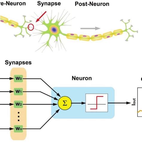 Pdf Low‐voltage Oscillatory Neurons For Memristor‐based Neuromorphic Systems