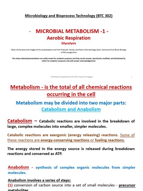 Microbial Metabolism Overview Pdf Glycolysis Metabolic Pathway