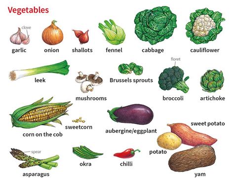Asparagus Noun Definition Pictures Pronunciation And Usage Notes