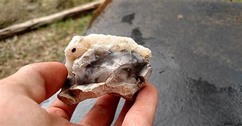 Flint And Quartz Album On Imgur