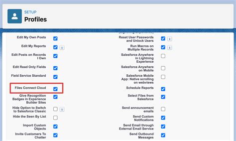 How To Set Up Salesforce Files Connect For Google Drive Drive Connect