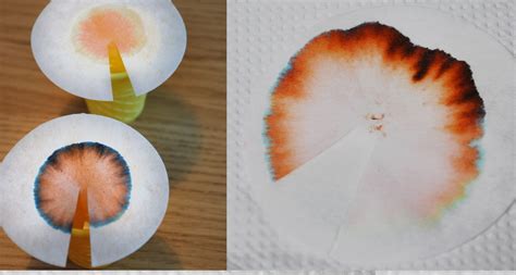 What Is Chromatography Examples At Michael Hammons Blog