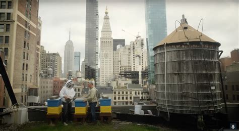 on nyc the meaning of life and opinionated architecture mymind