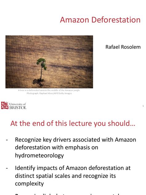 amazon deforestation lecture rosolem pdf deforestation amazon