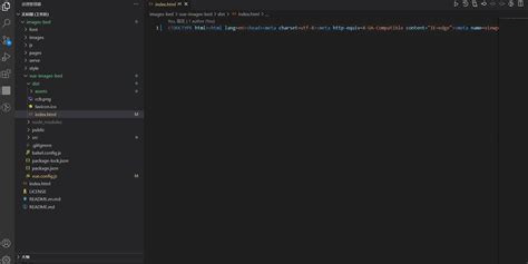 最快捷的两种方案彻底解决：vue打包后dist目录下的indexhtml网页显示空白的问题vue的html空白 Csdn博客