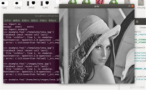 基于pybind11实现python调用c编写的cv算法 下 （linuxcmake）专注图像处理的技术博客51cto博客