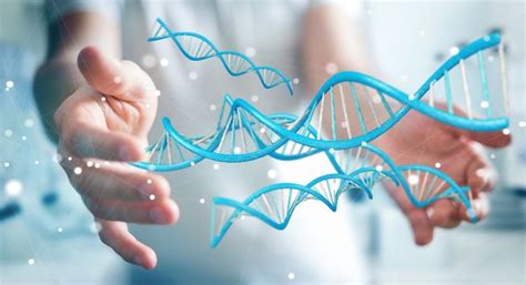7 Different DNA Extraction Methods Praxilabs