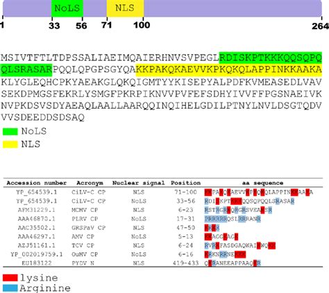 Nuclear And Nucleolar Localization Signal Of The Citrus Leprosis Virus Download Scientific