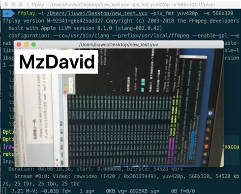 Ffmpeg Filter简单使用 音视频开发中文网