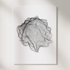 A Pen Plotting Generative Art Wall Art Ink On Paper Code Modern Art Line Drawing Floral